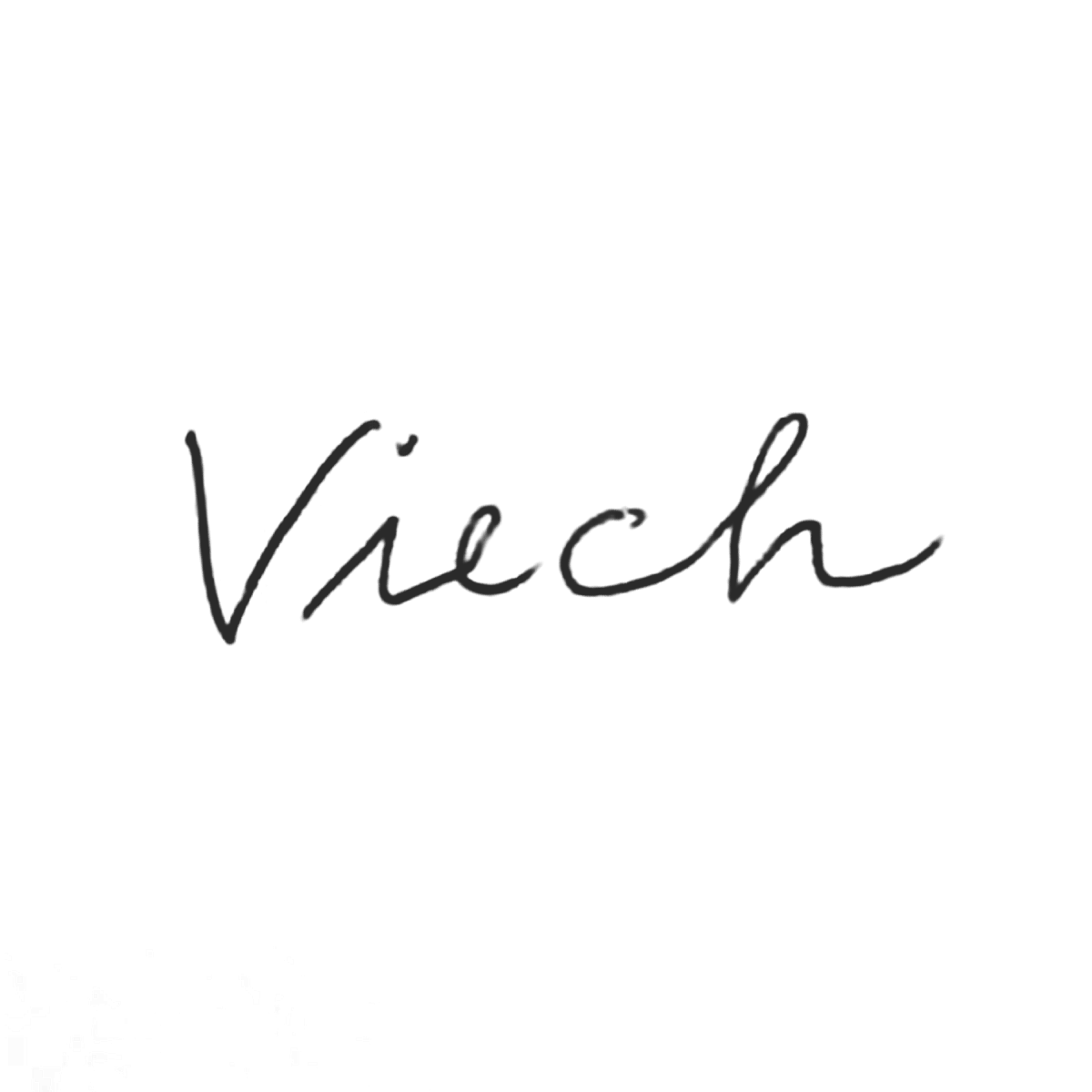 Viech Logo - Viech